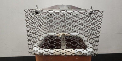 Chimney Damper: Everything You Need to Know - HY-C