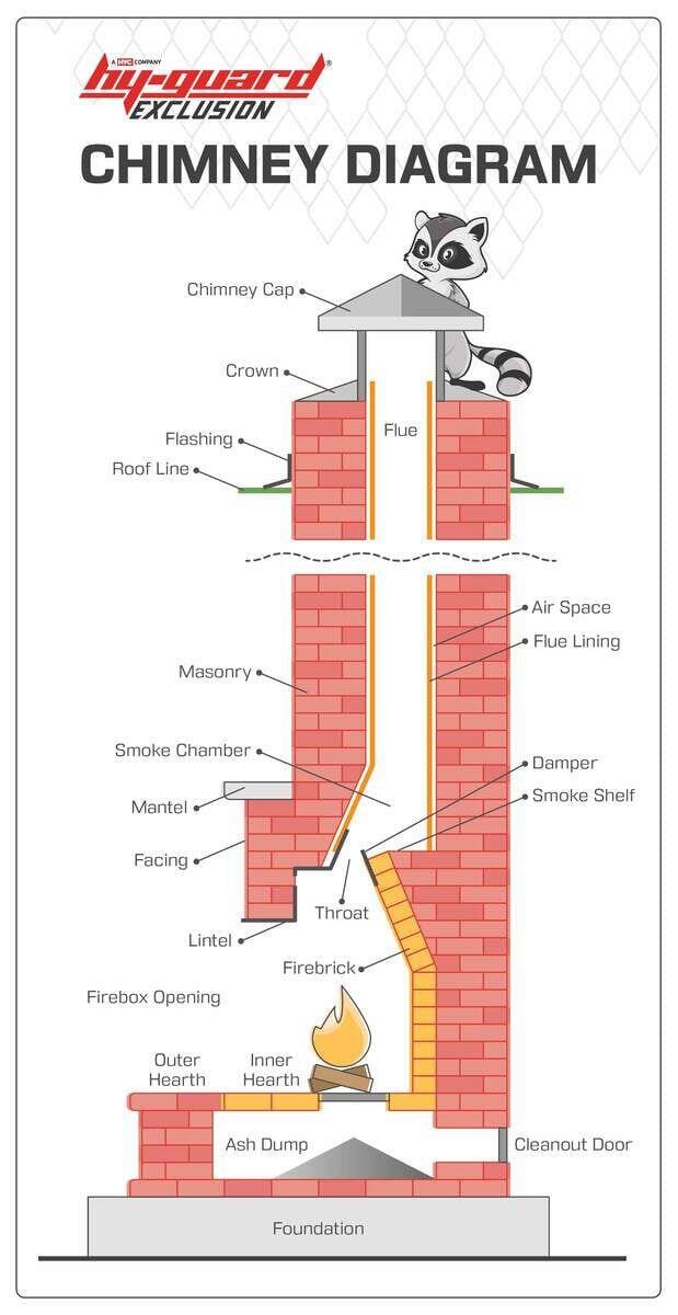 How to Keep Wildlife out of Your Chimney - HY-C