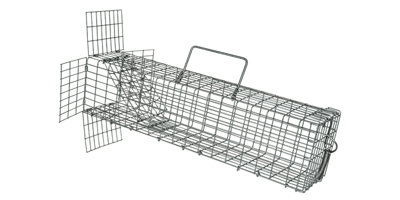 How to Get Rid of Possums