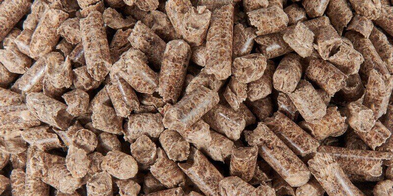 Wood Pellet FAQs: 8 Top Questions Answered