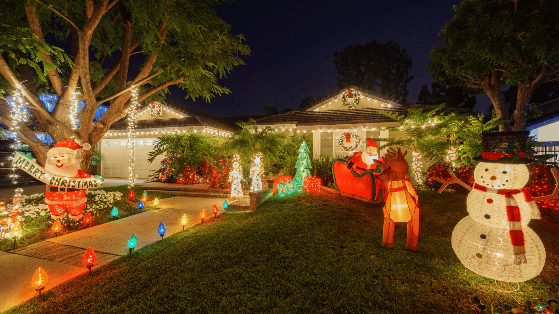 The Festive Way Pest & Wildlife Pros Bridge the Winter Lull